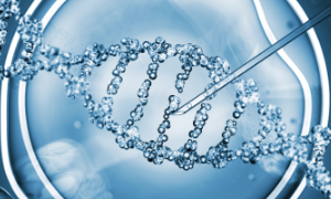 Lobee Learning - STEM project-based after school program