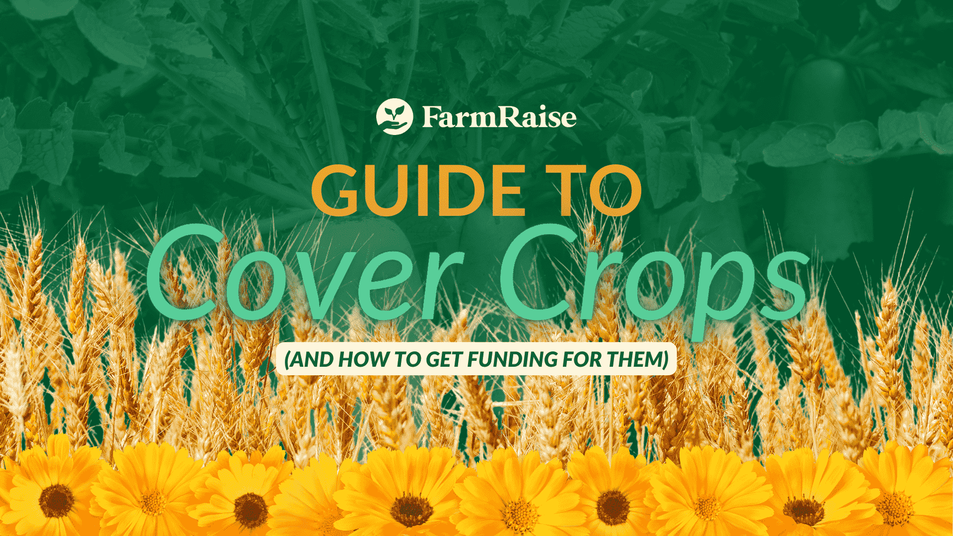 Solar Grants for Farms –> Solar Panels for Farmers | FarmRaise