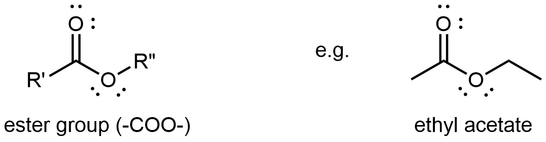 Ester Functional Group Examples