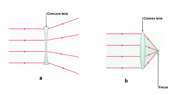 Converging And Diverging Lens