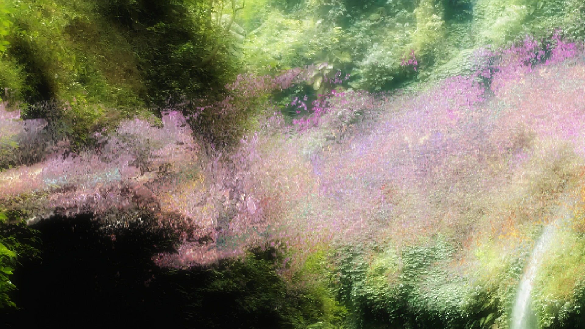 Jack Anderson • Weaving digital environments to unravel human-nature ...
