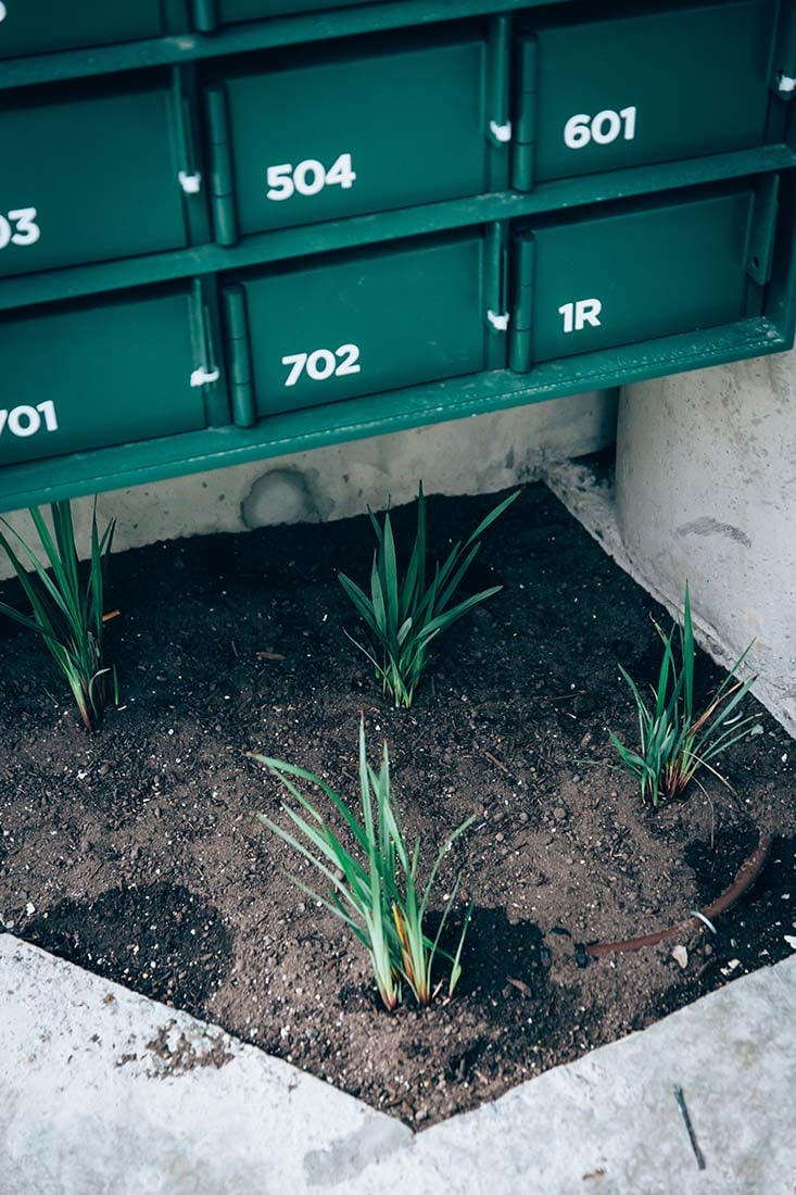 Nightingale Evergreen in Brunswick, VIC