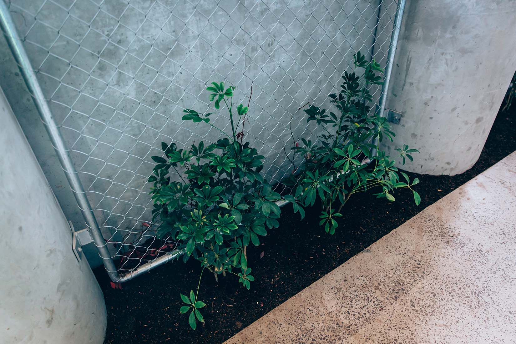 Nightingale Evergreen in Brunswick, VIC