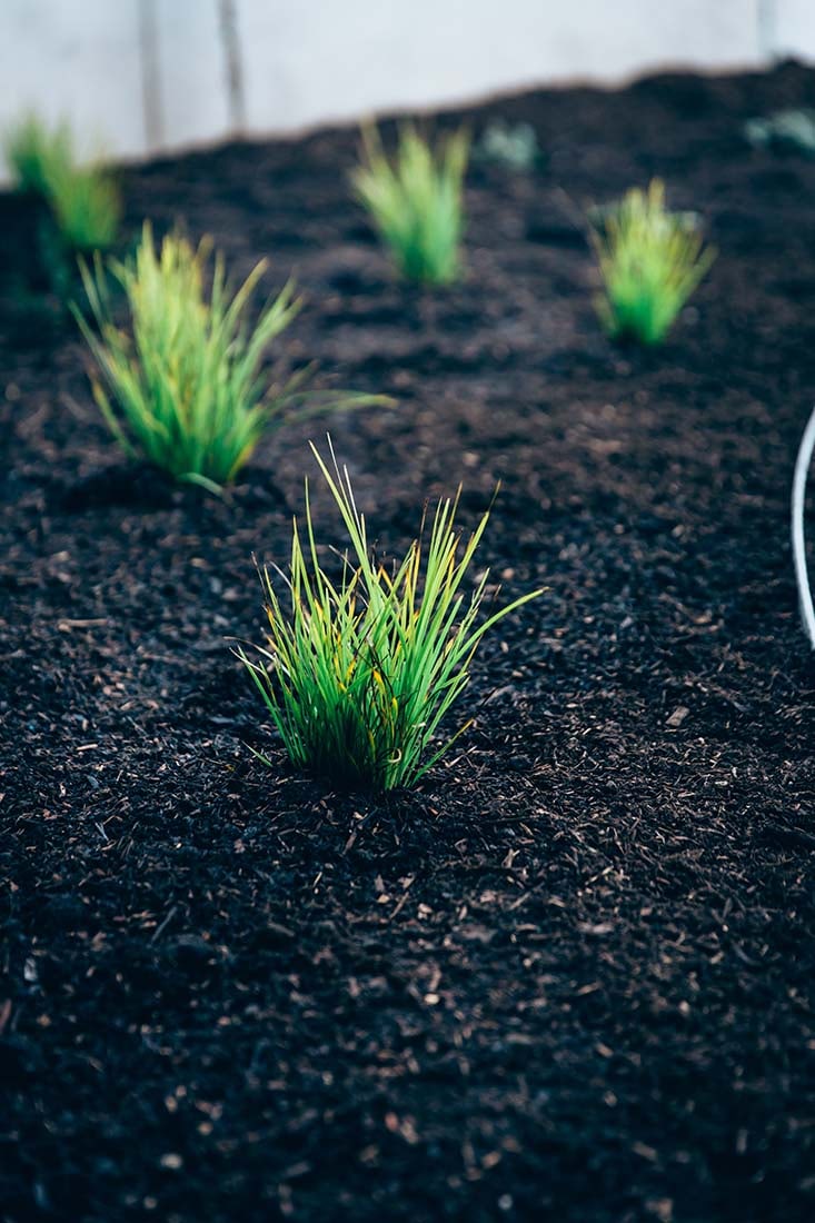 Nightingale Evergreen in Brunswick, VIC