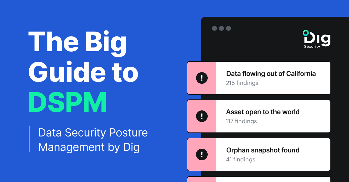 Data Security Posture Management (DSPM) Guide | Dig Security