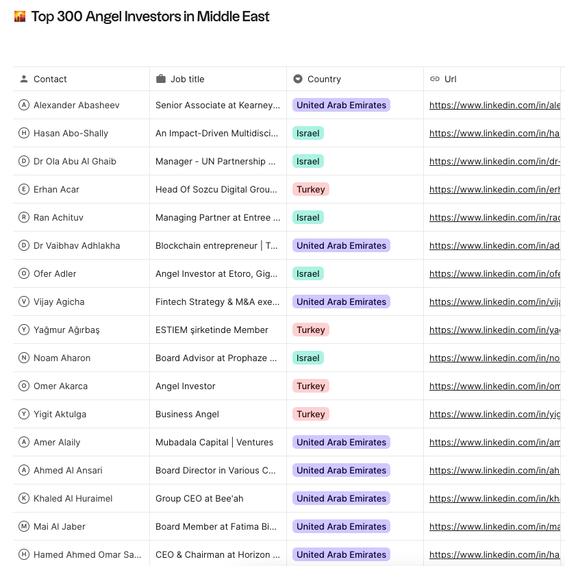 The Top Angel Investors in the Middle East