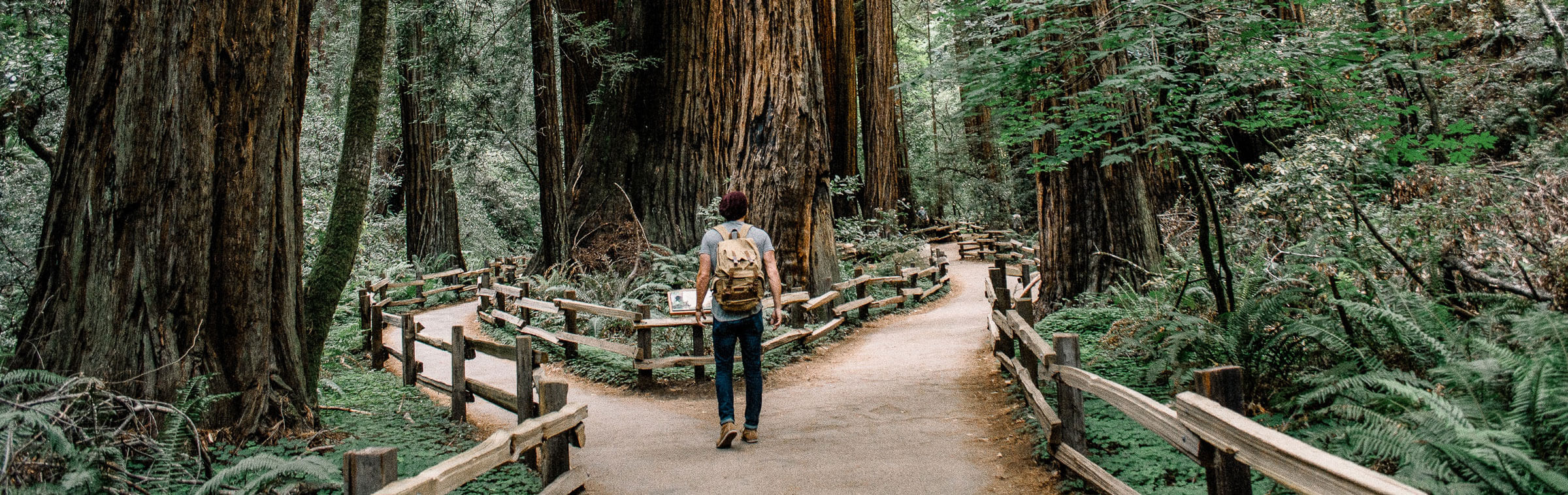 Our Many Paths Of Recovery WEconnect Health