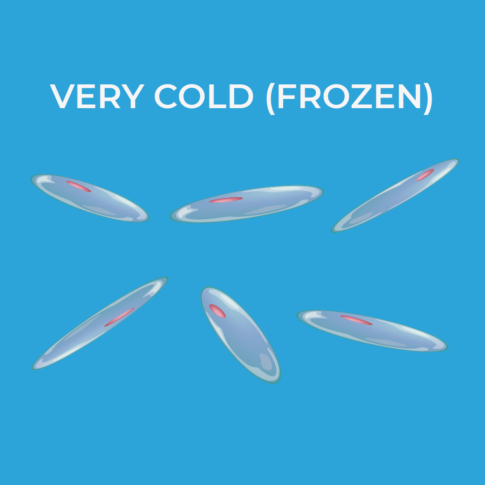 What Is Vitrification?