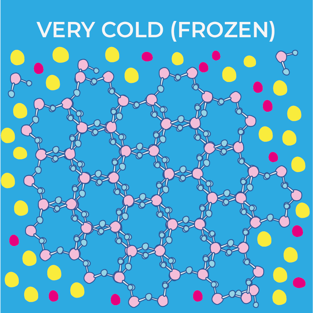 What Is Vitrification?