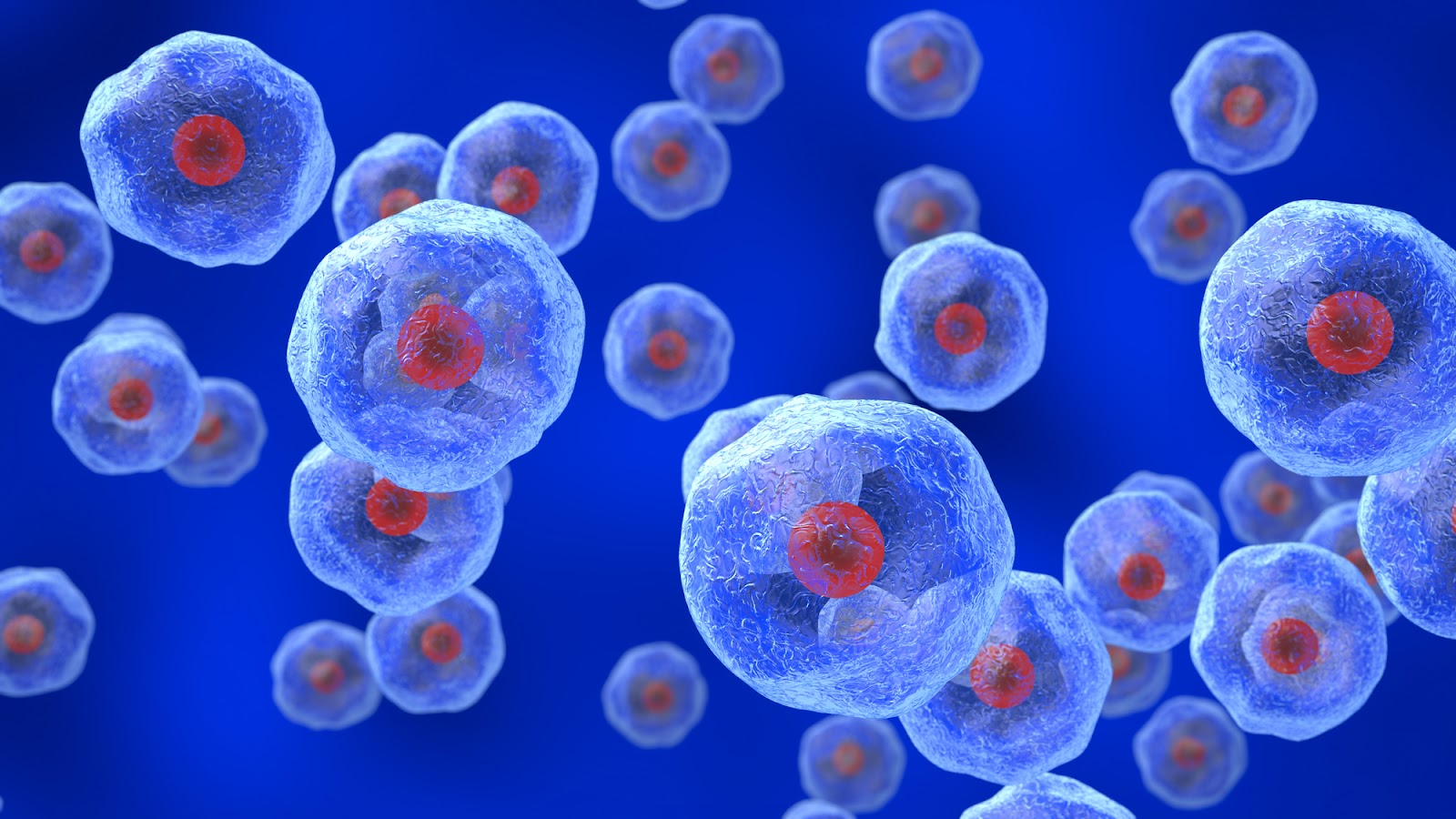 Why Is It Hard To Rewarm Cells After Cryopreservation?