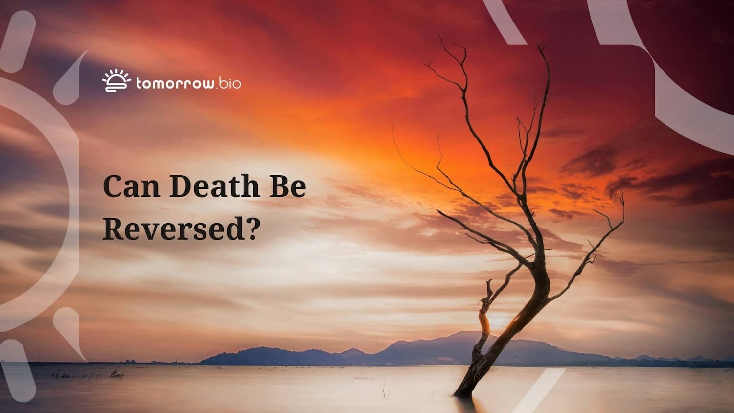Can Death be Reversed?