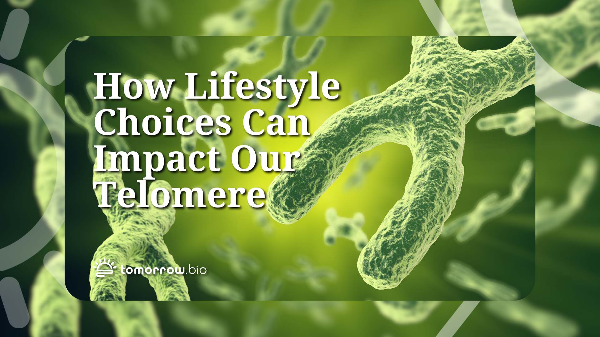 How Lifestyle Choices Can Impact our Telomeres