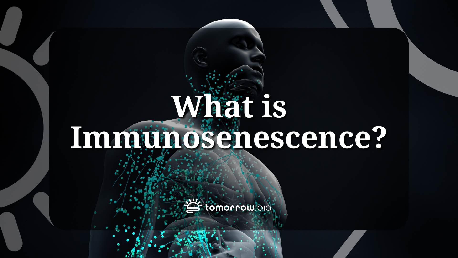 What is Immunosenescence?