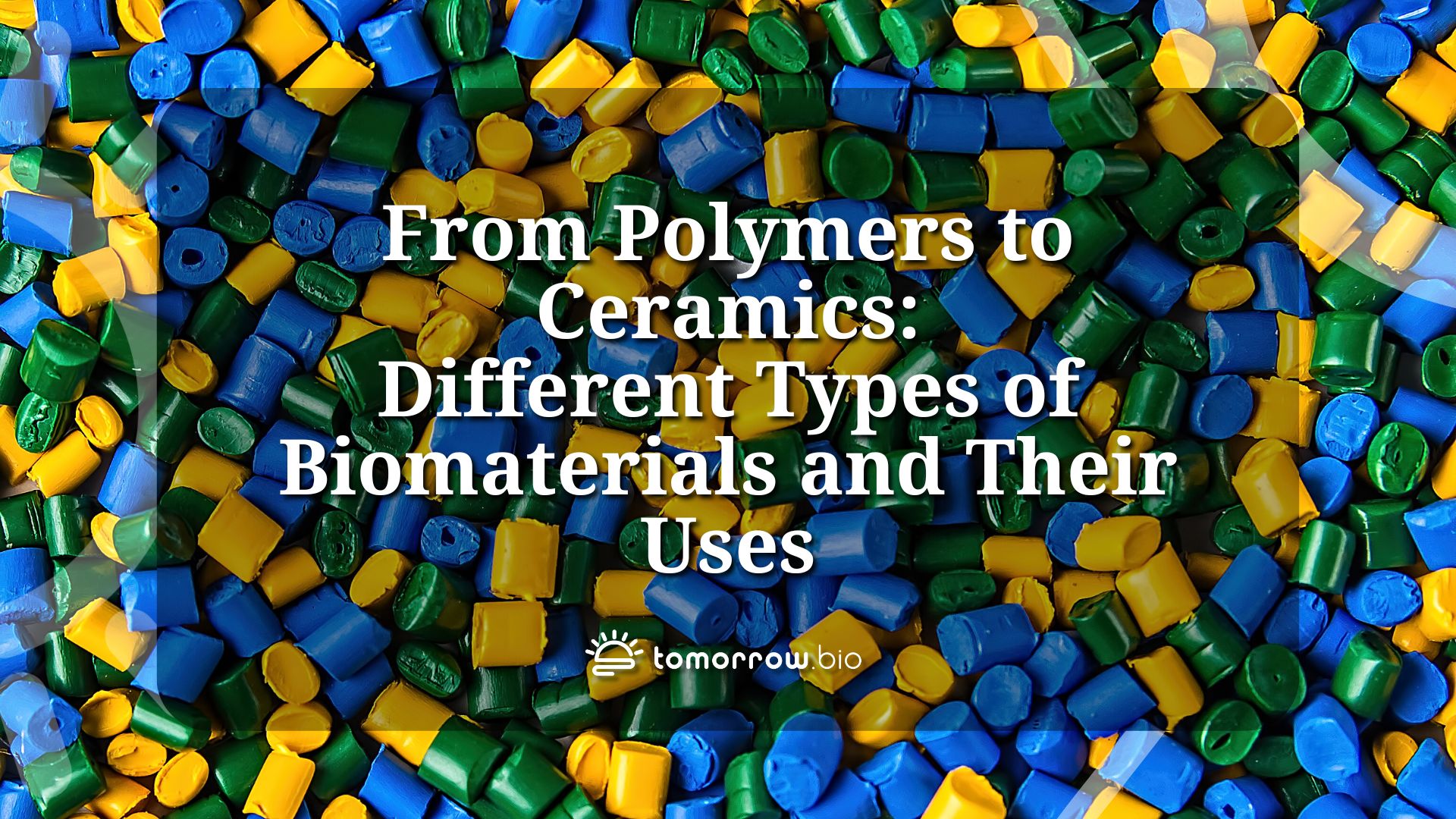 Types Of Polymers