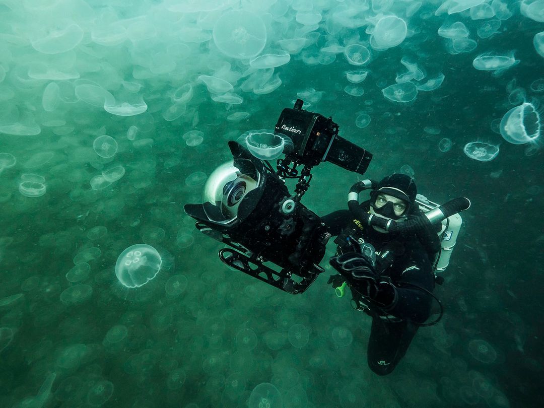 Roger Horrocks | Underwater Cinematographer