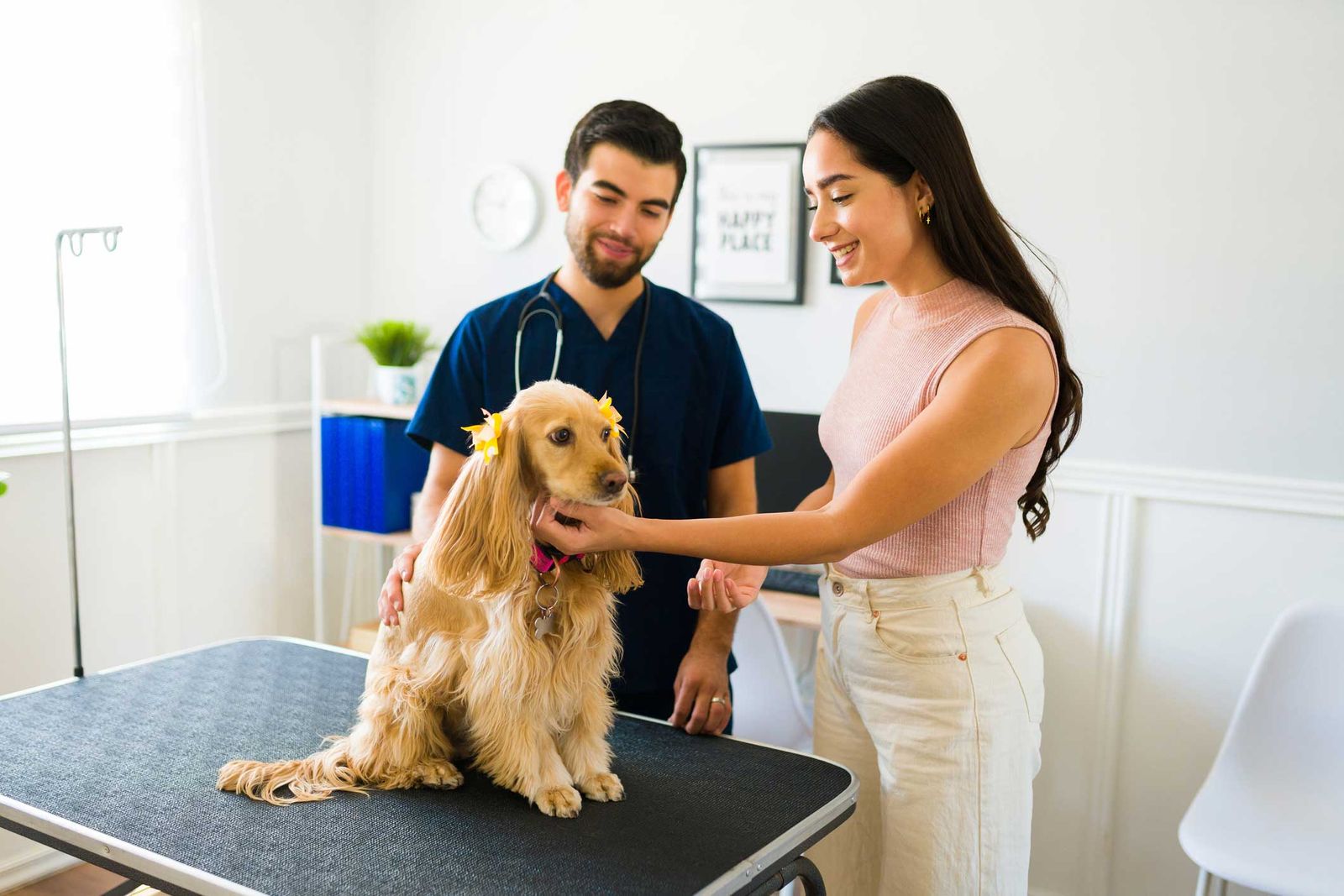 Enfermedades Críticas - Individual COSVI | Cooperativa de Seguros de ...