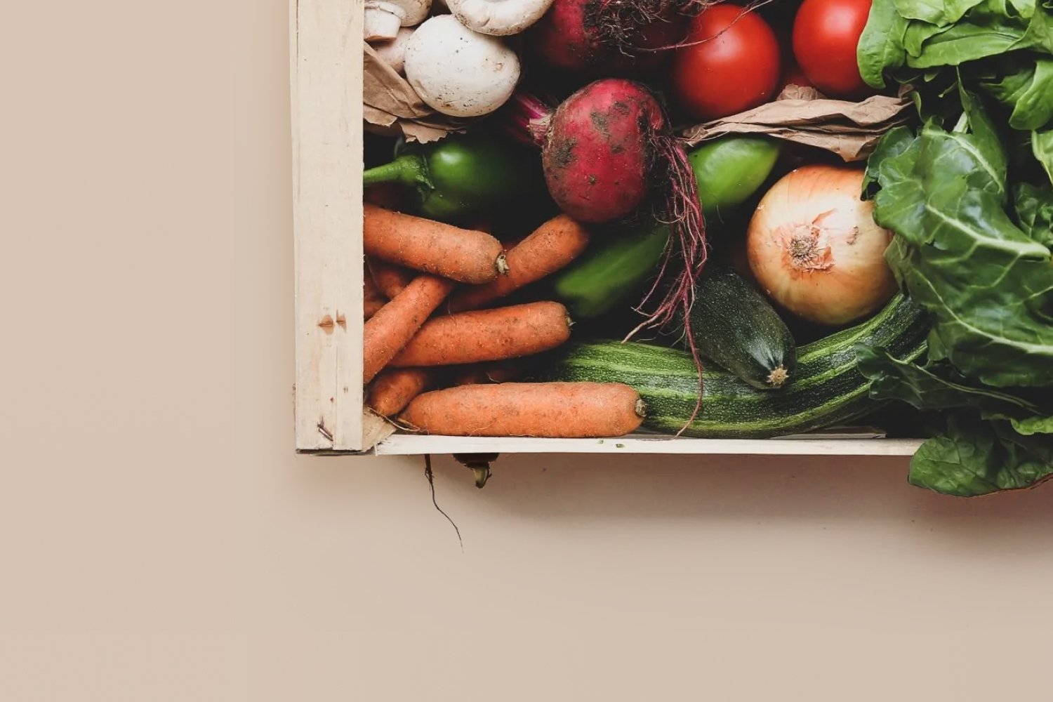 Goodery | Work | Berst