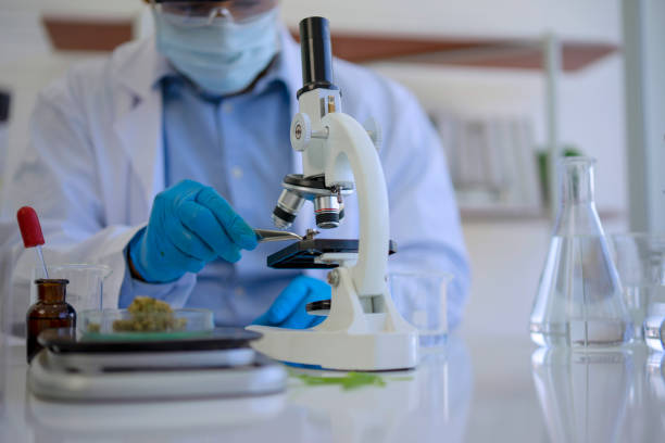 What is THCa? - The Green Dragon CBD