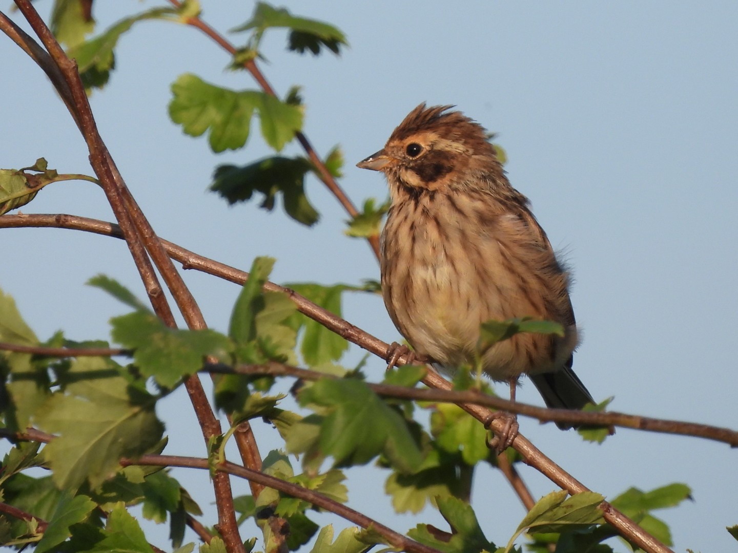 Photo of the month - your winning entries