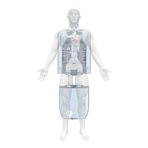 Physiological Flow Systems