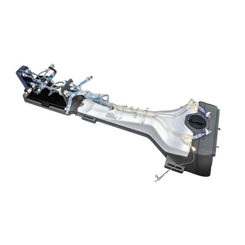 Physiological Flow Systems