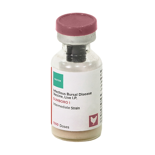 Hester Biosciences Limited