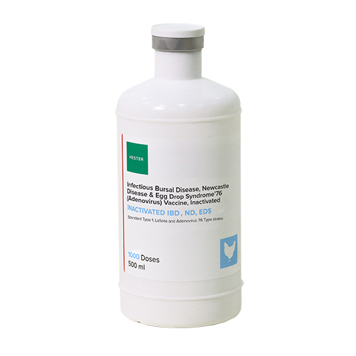 Hester Biosciences Limited