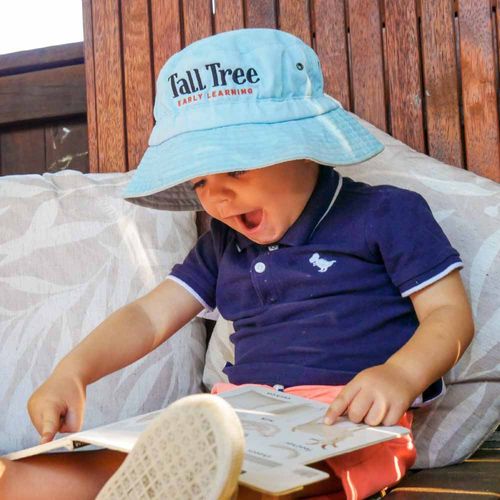 Tall Tree Early Learning | Programs