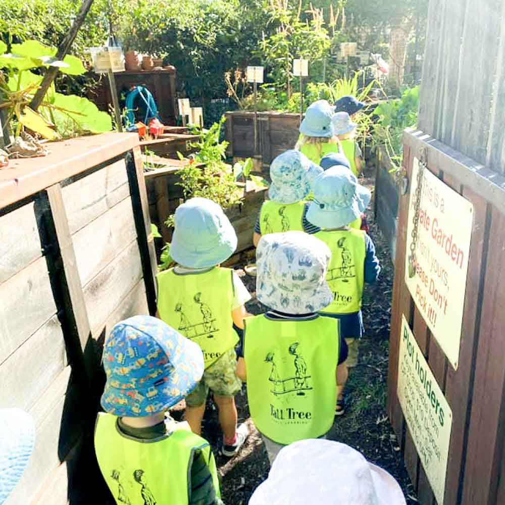 Tall Tree Early Learning | Toddlers