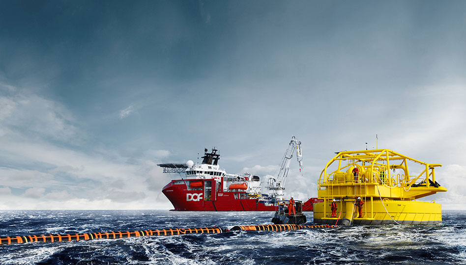 Privacy Policy – DOF