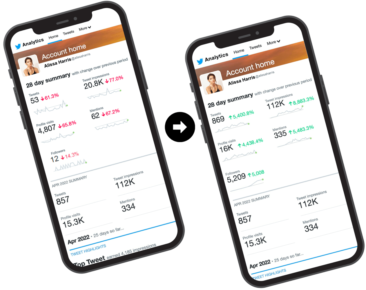 Best Twitter Growth Services - TweetNest