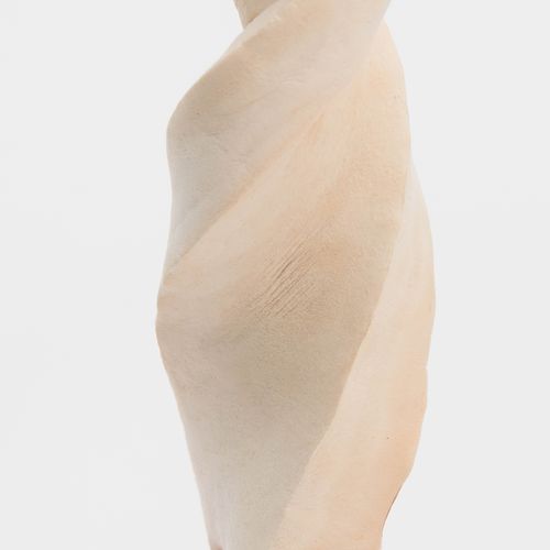 Ecovative Announces Partners To Bring Mycelium Foam to the Fashion ...