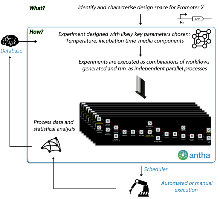 Synthace And Dow Agrosciences Announce Automated Bio Engineering