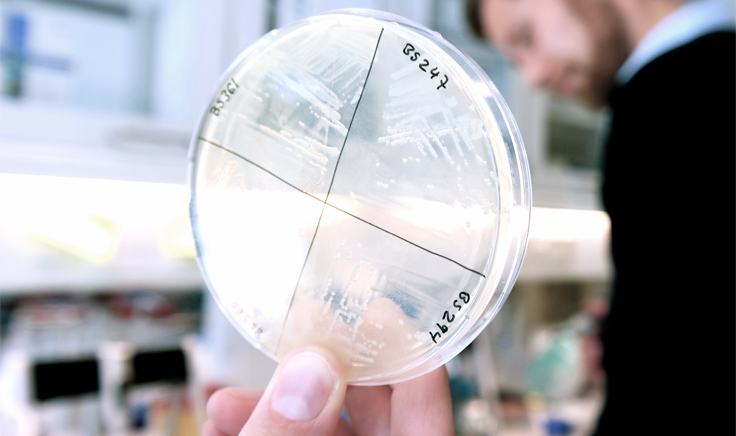 Biosyntia Raises $1.9M to Engineer Vitamin-producing Microbes - SynBioBeta