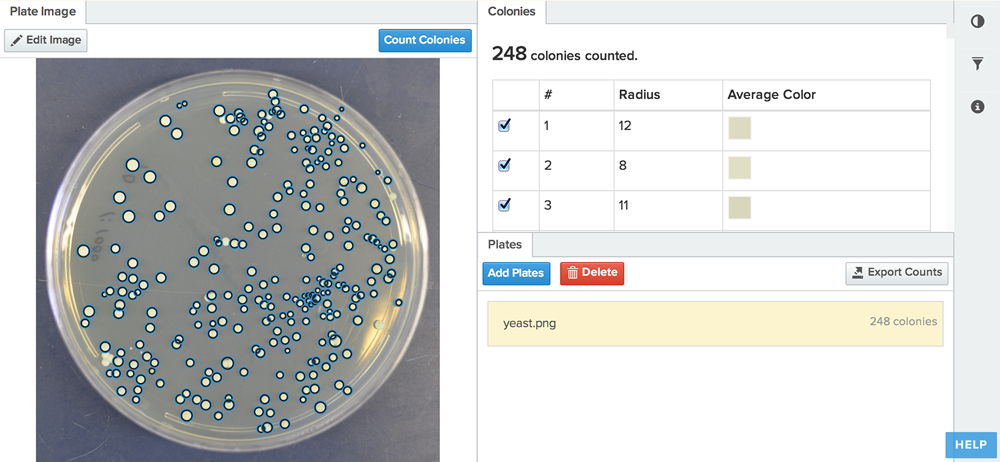 Benchling and New England Biolabs are Developing Better Tools for DNA ...
