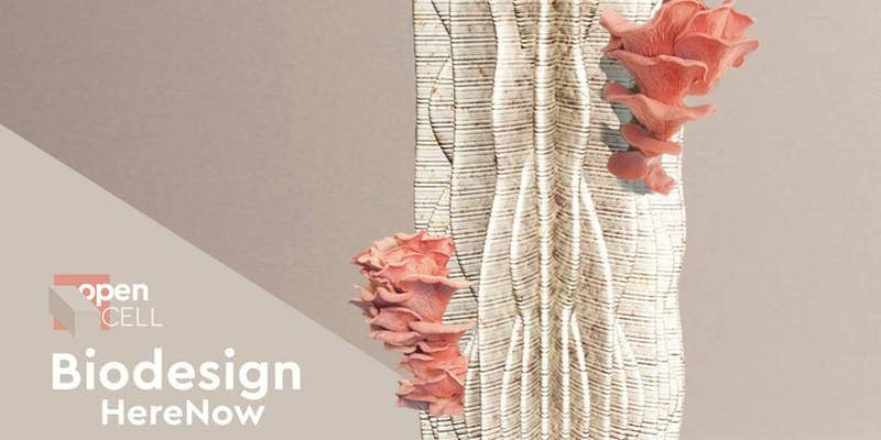 Biodesign Here Now at the London Design Festival - SynBioBeta