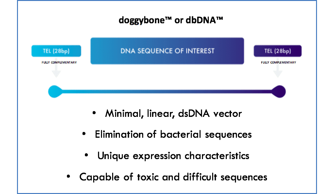 Touchlight Genetics: Synthesizing the DNA of the Future - SynBioBeta