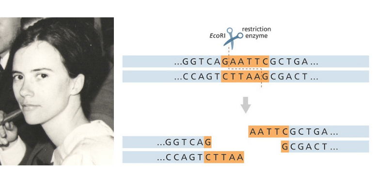 Meet the Heroes You Never Knew You Had - SynBioBeta