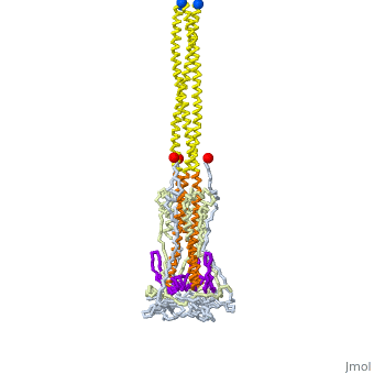 How Will the Proteins of the Future Be Designed? - SynBioBeta
