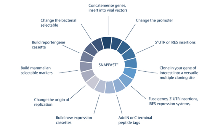 Genome Compiler Platform Integrates SnapFast™ DNA Cloning System ...
