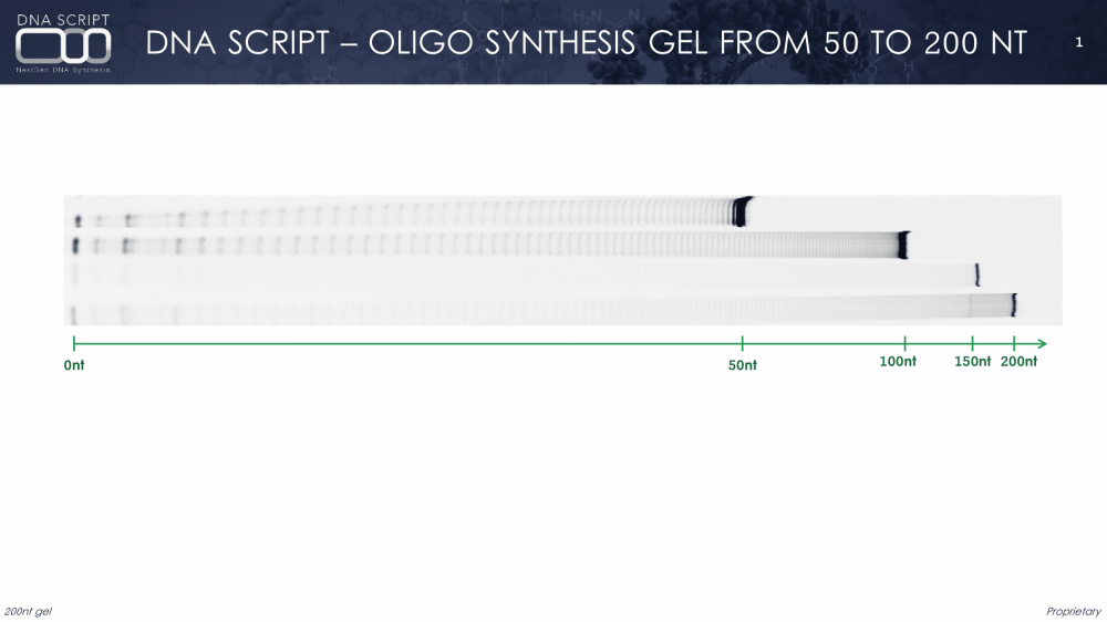 DNA Script Announces World’s First Enzymatic Synthesis of a High-Purity ...