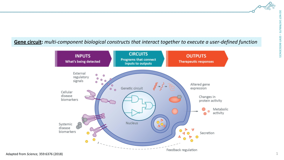 Senti Biosciences’ CEO Tim Lu talks about the challenges facing cell ...