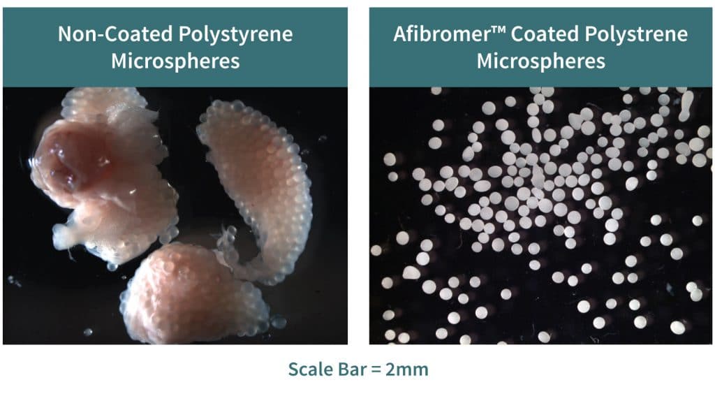Flagship Pioneering Announces Launch of Sigilon Therapeutics to Harness ...