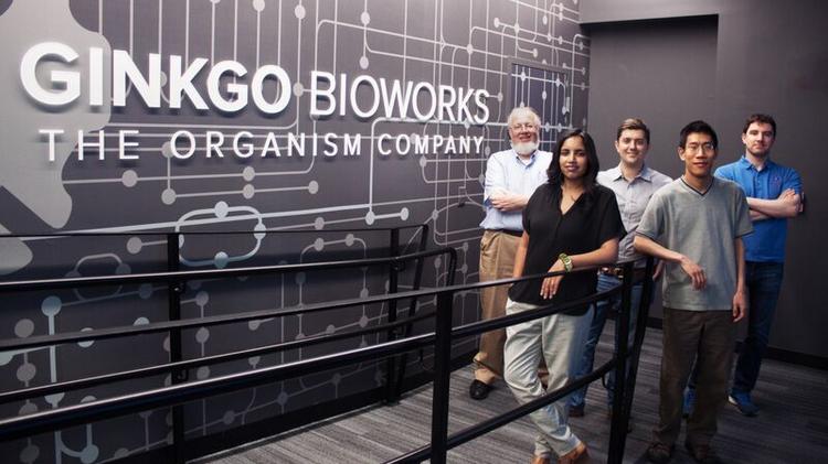 Ginkgo Bioworks offers its cell programming platform to the next ...