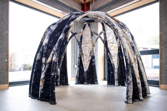 Bio-Knit: How Fungi and Textiles Are Weaving the Future of Construction ...