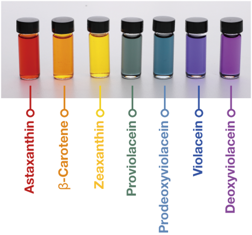 Microbial Cell Factories: A Delicious and Glamorous Revolution - SynBioBeta