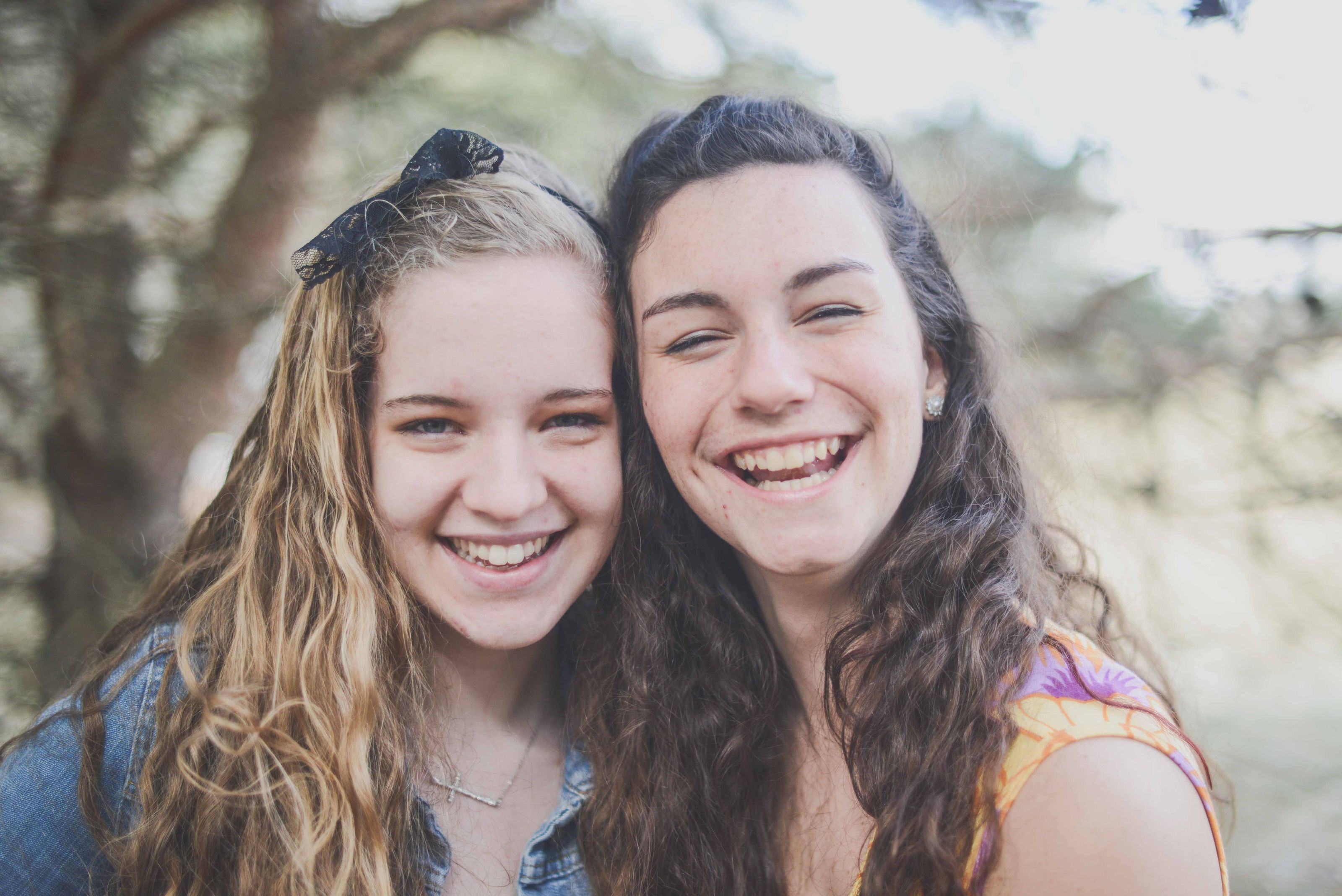 LDAT program modules for Peer Support, Parenting and Mentoring