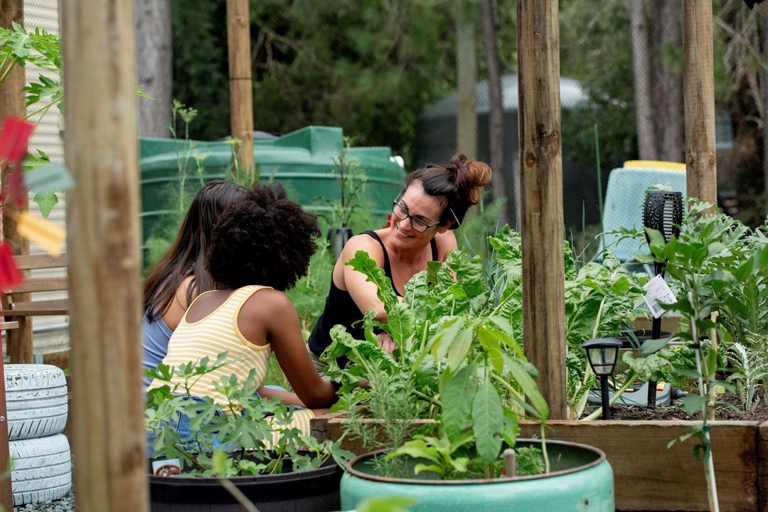 LDAT program modules for Peer Support, Parenting and Mentoring