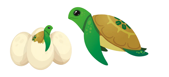 Flash at Universal Skills.