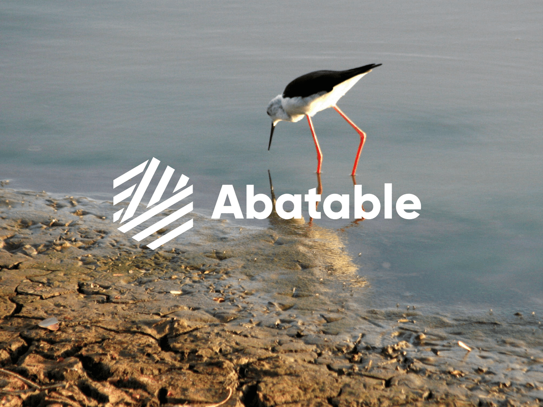 Abatable - Case Study | Shoreditch Design